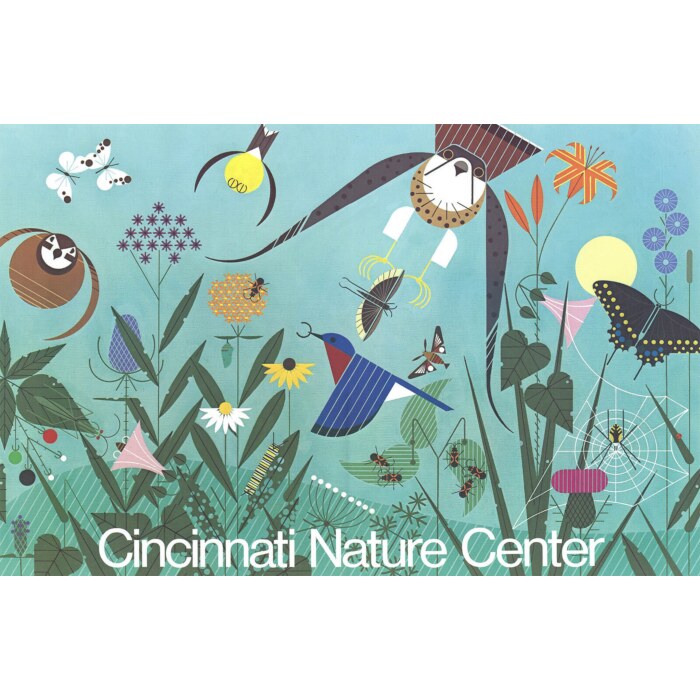 Official Charley Harper Art Studio | Cincinnati Nature Center: Summer ...