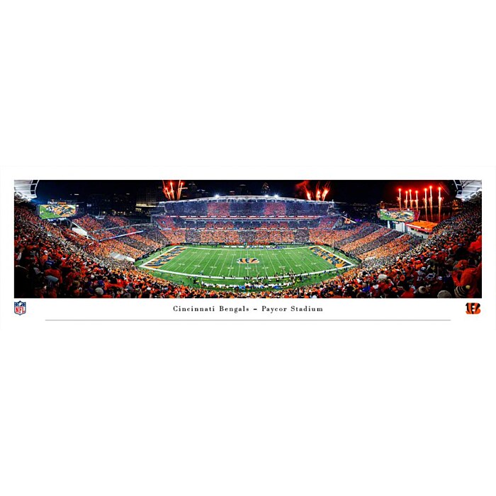Fabulous Frames & Art | Cincinnati Bengals Stripe the Jungle Panorama ...