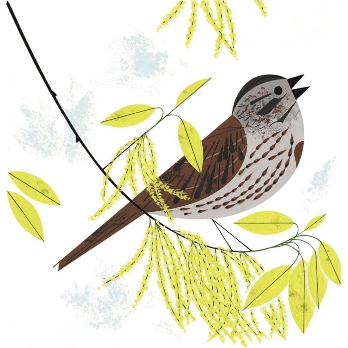 Charley Harper Store | Sing Spring—Giclée - Giclées - Artwork | Largest ...